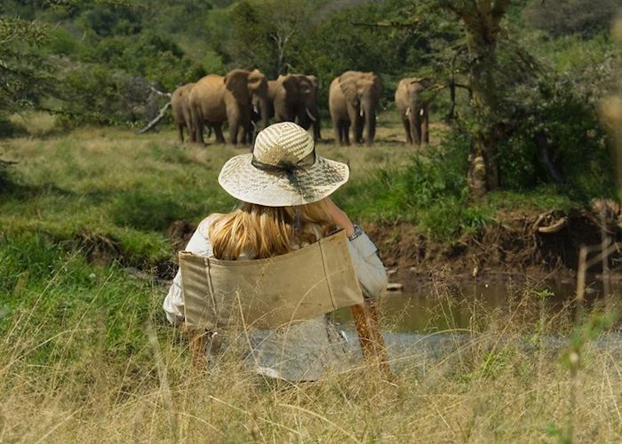 Visit Sosian Lodge, Kenya | Tailor-made Trips | Audley Travel UK