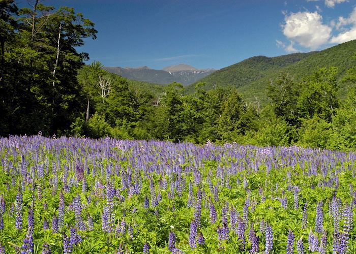 Visit Sugar Hill on a trip to New England | Audley Travel US