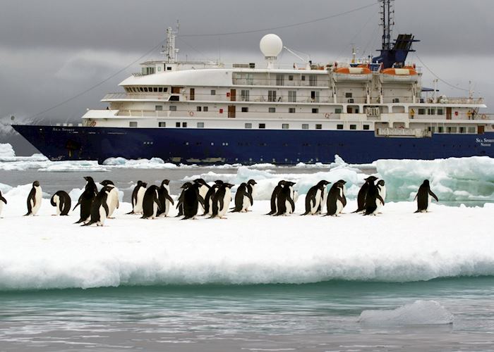 Sea Spirit — Antarctic Cruise | Audley Travel US