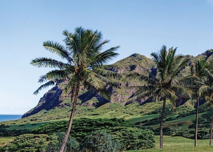 Sustainable Cultural Experience at Kualoa Ranch | Audley Travel CA