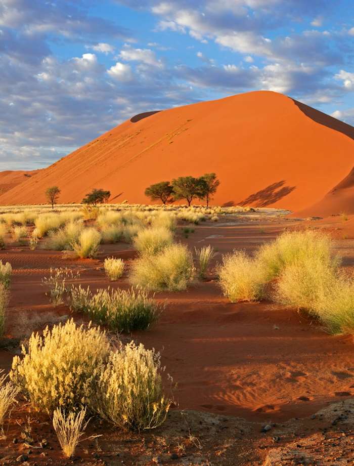 Visit Swakopmund and Pelican Point, Namibia | Audley Travel UK