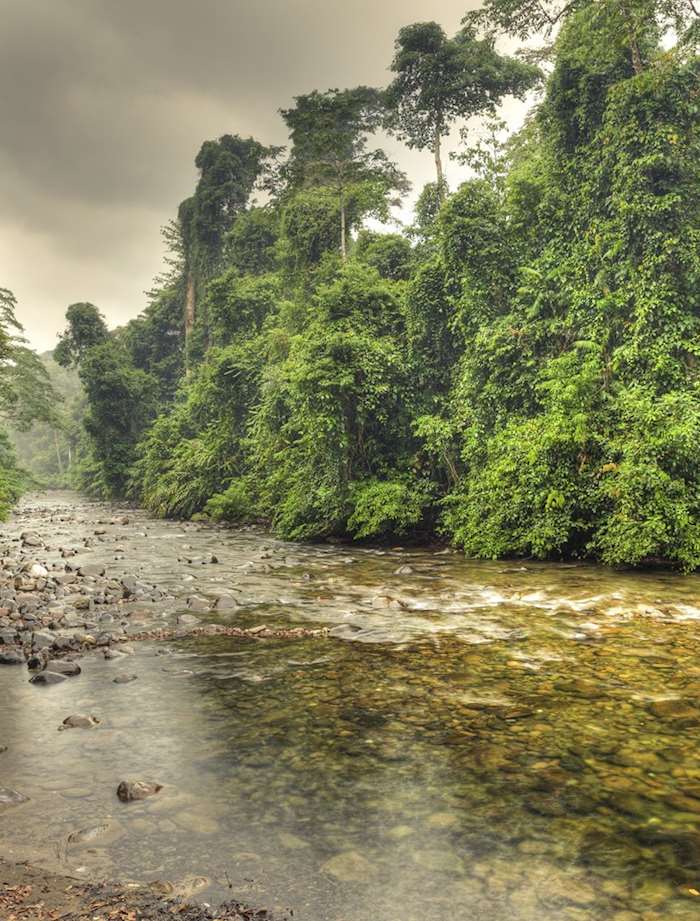 What to see in Borneo: our highlights guide | Audley Travel UK