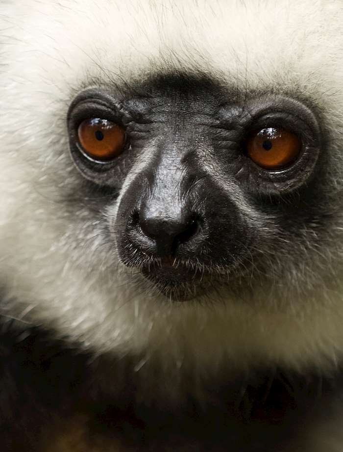 Visit The Islands & Beaches, Madagascar | Tailor-made Trips | Audley ...