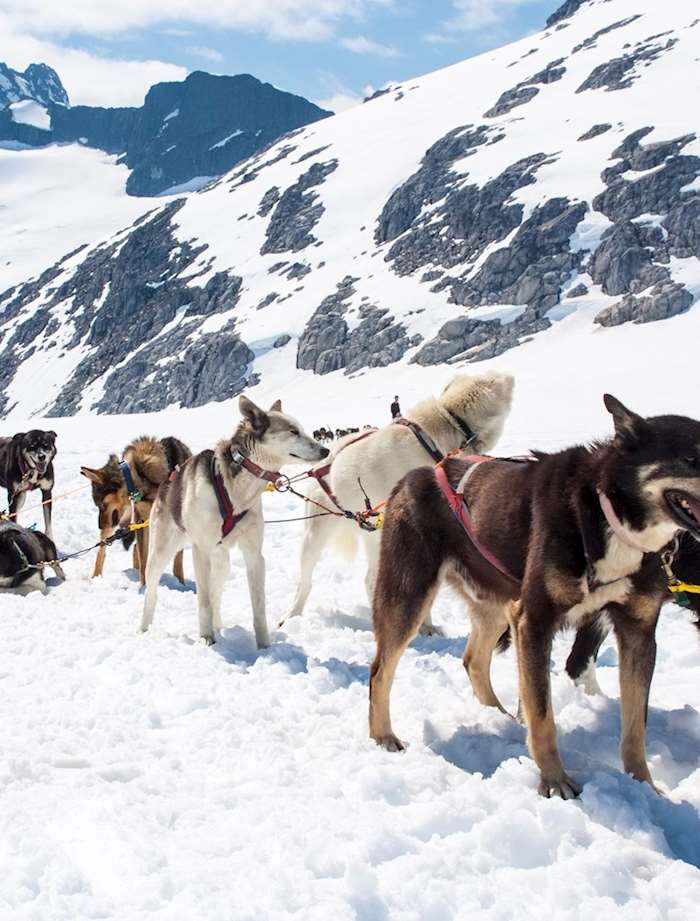 Alaska Holidays 2025 & 2026 - Tailor-Made from Audley Travel UK