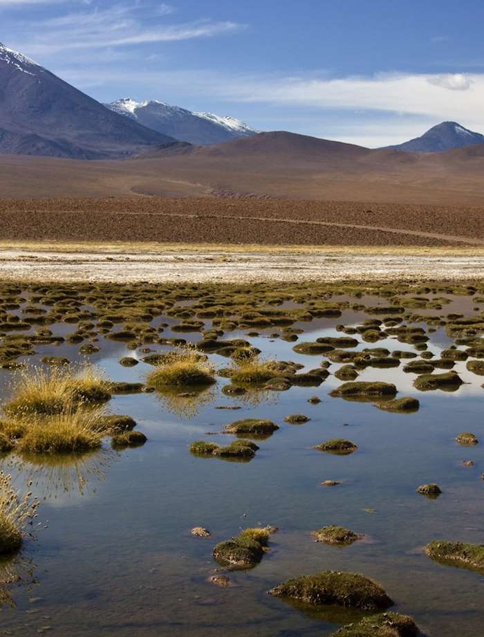 Best Time to Visit Chile | Climate Guide | Audley Travel