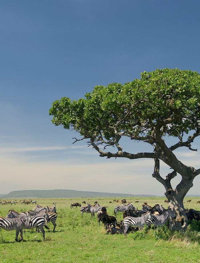 Tanzania Holidays and Safaris 2026 & 2027 | Audley Travel UK