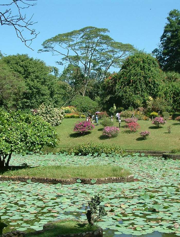 Visit Colombo on a trip to Sri Lanka | Audley Travel