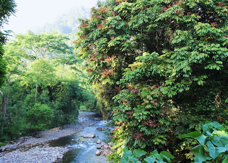 Visit Tangkahan, Indonesia | Tailor-Made Tangkahan Trips | Audley Travel US