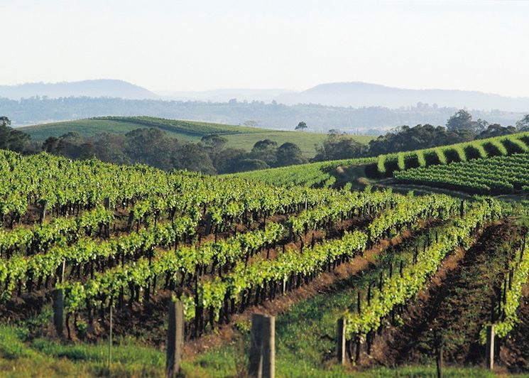 Visit Hunter Valley on a trip to Australia | Audley Travel UK
