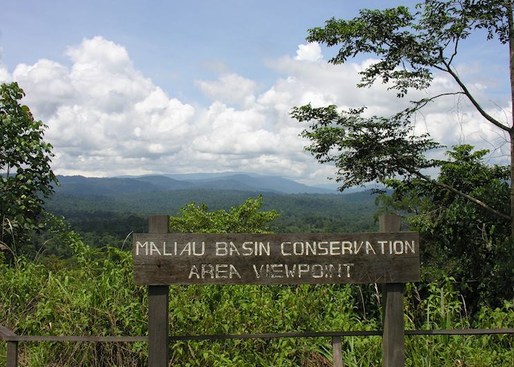 Visit Maliau Basin, Borneo | Tailor-Made Trips | Audley Travel US