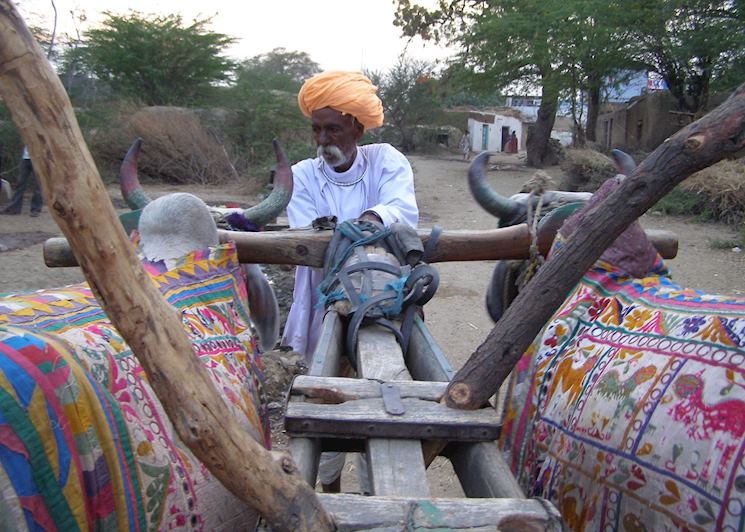 Visit Barli on a trip to India | Audley Travel UK