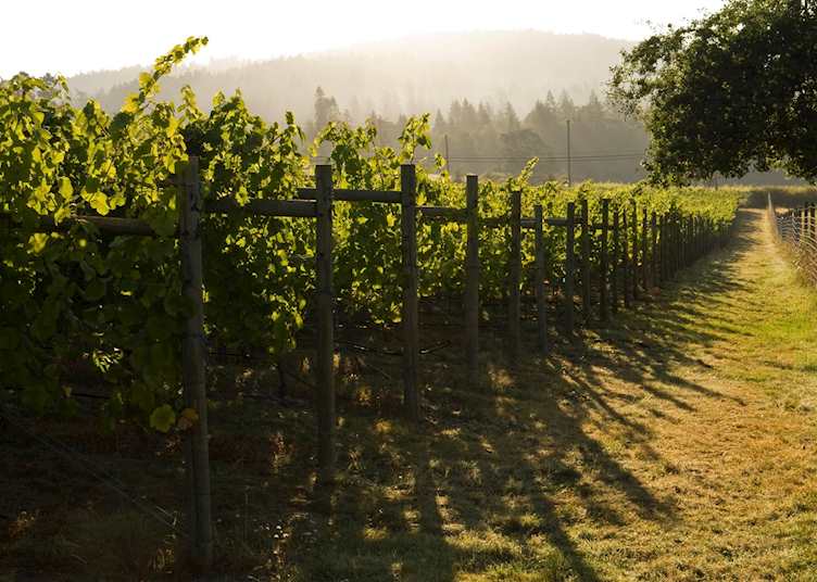 Salt Spring Island wine tour | Audley Travel UK