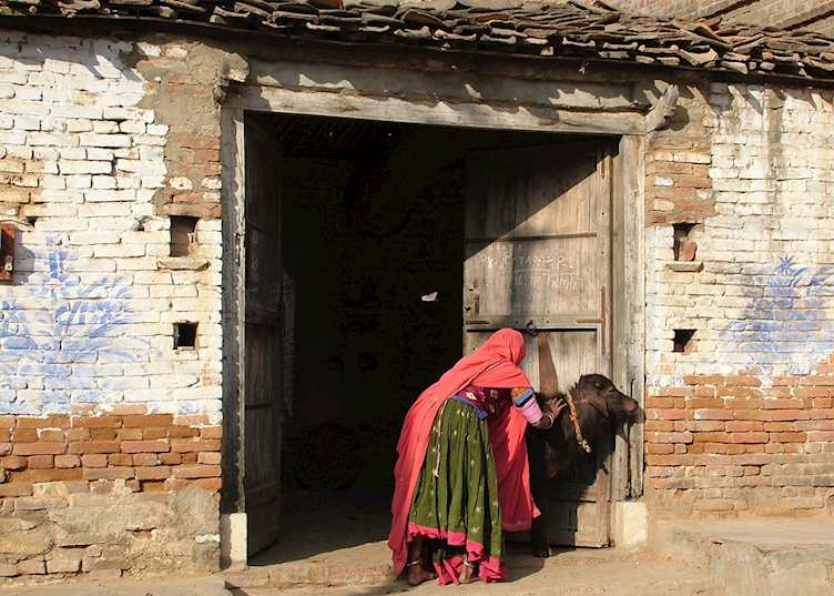 Visit Narlai on a trip to India | Audley Travel UK