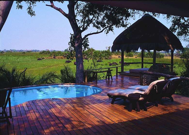 Visit Chief's Island, Botswana | Tailor-Made Vacations | Audley Travel US