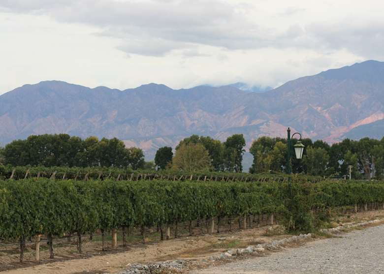 Viñas de Cafayate Wine Resort | Audley Travel US