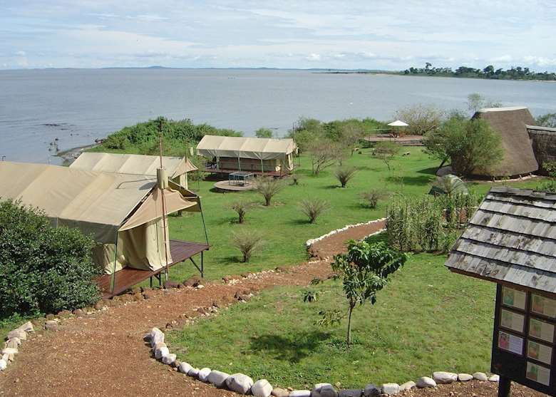 Ngamba Island Chimpanzee Sanctuary | Audley Travel UK