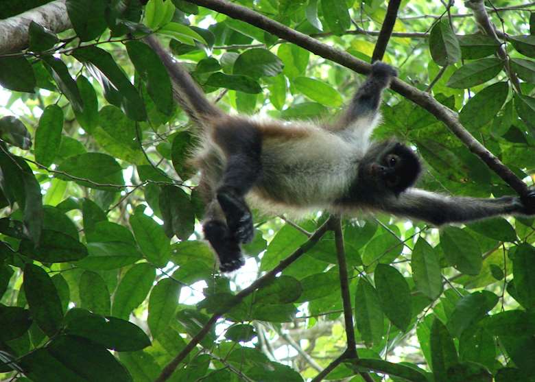 Tomas G, Latin America Specialist | Audley Travel UK