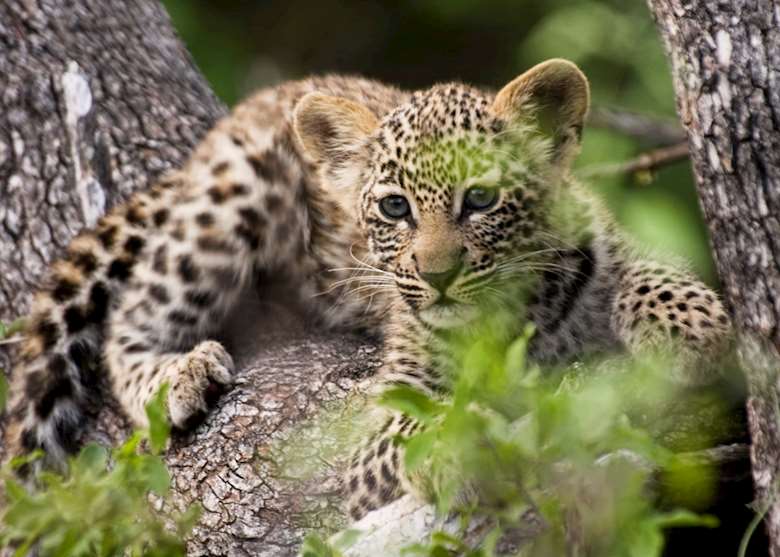 Ben A, South Africa Specialist | Audley Travel UK