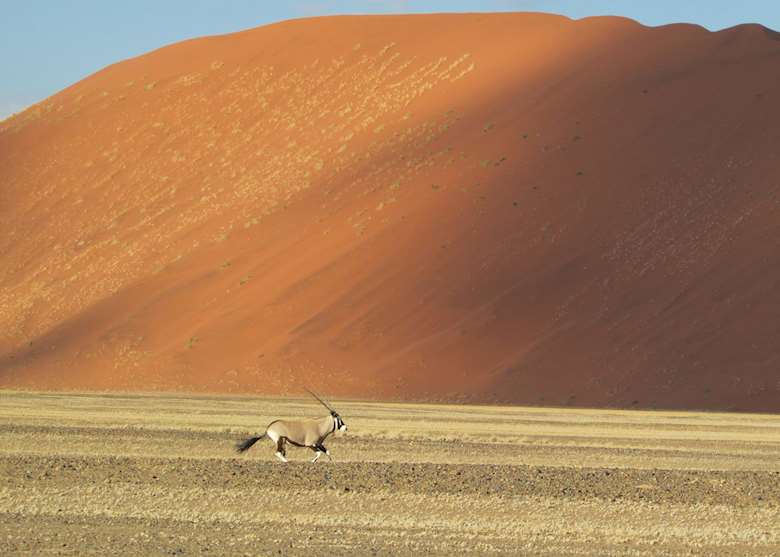 Namibia Holidays 2024 & 2025 - Tailor-Made from Audley Travel UK