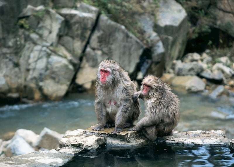 Sample Itinerary Ideas For Japan Audley Travel sample-itinerary-ideas-for-japan-audley-travel
