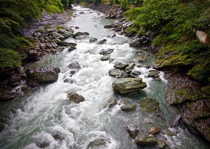 Japan's hidden island: Temples & festivals in Shikoku | Audley Travel US