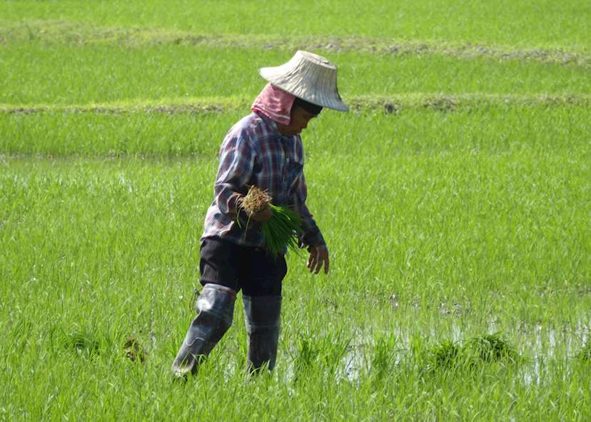 Multi-country trips through Southeast Asia | Audley Travel US