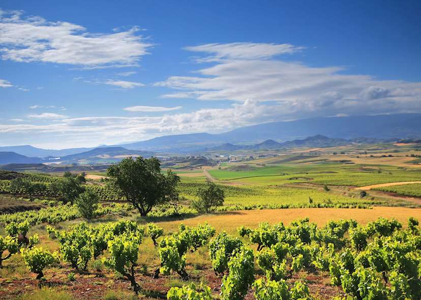 Madrid, San Sebastián & La Rioja tour | Audley Travel US