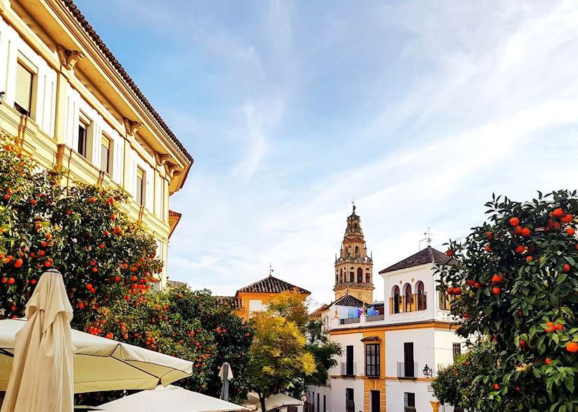 Culinary Tour of Seville & San Sebastián | Audley Travel US