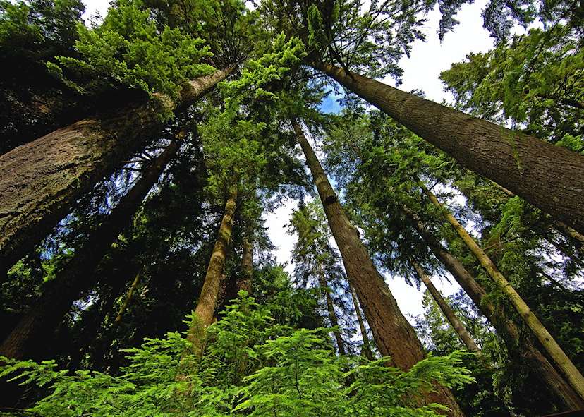 Western Canada family self-drive tour | Audley Travel UK