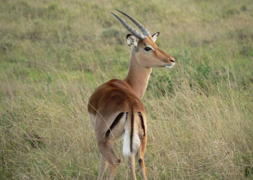 Discover South Africa | Audley Travel US