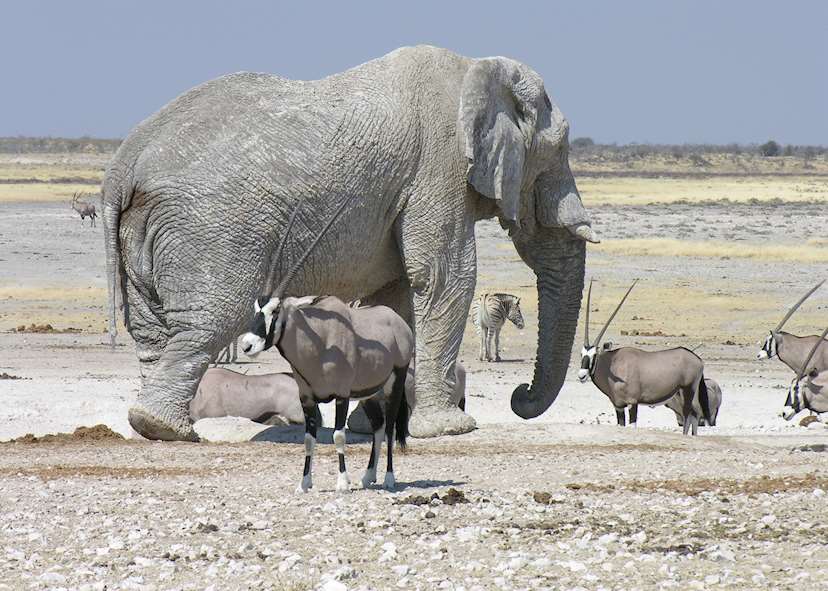 Namibia Self-Drive Safari Tour | Audley Travel UK