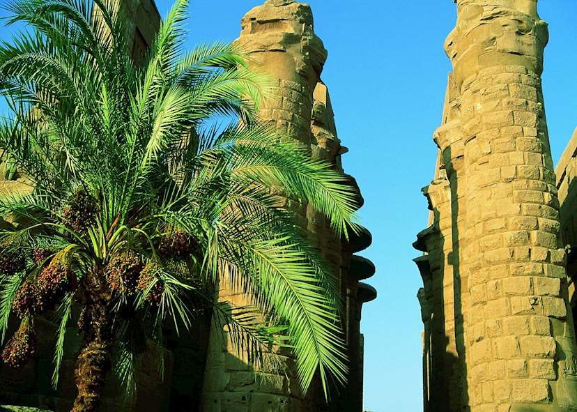 Luxury Luxor and the Red Sea Beaches Tour | Audley Travel US