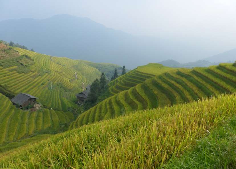 Classic China & Yangtze cruise | Audley Travel US