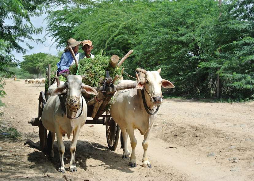 Remote Myanmar tour: journey into the hills | Audley Travel UK