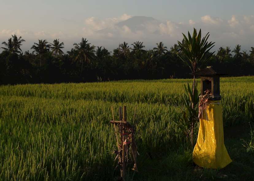 Discovering Java & Bali | Audley Travel US