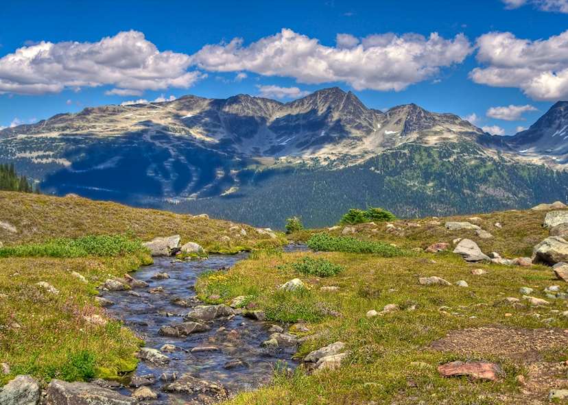 Canada's western wilderness & wildlife self-drive | Audley Travel UK