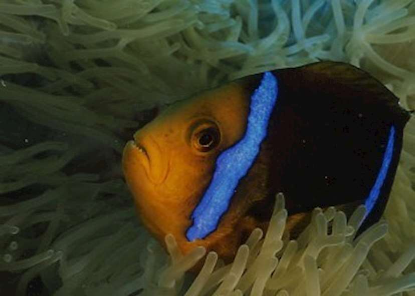 Lagoon highlights of French Polynesia | Audley Travel UK