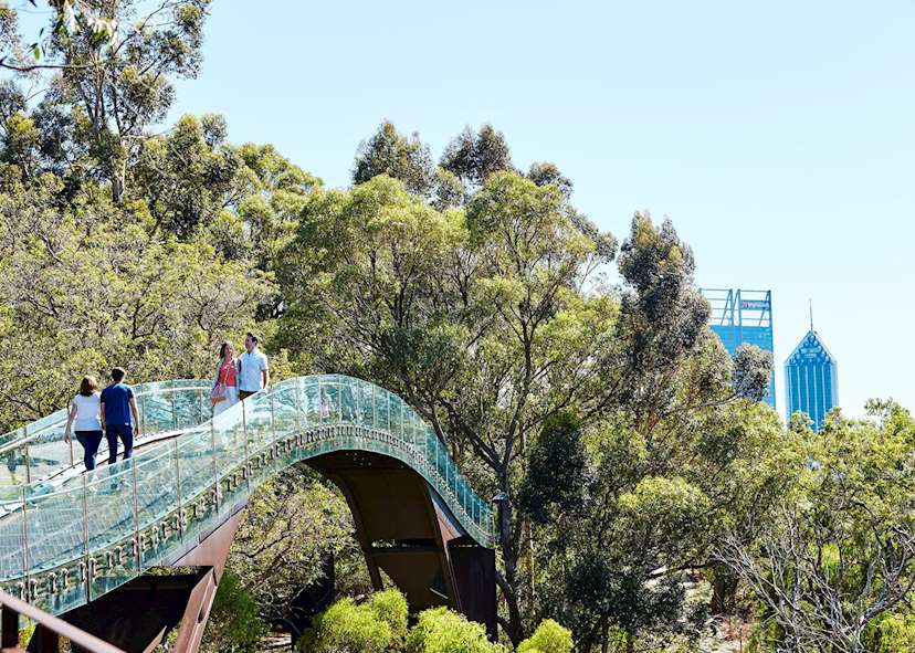 Western Australia's ultimate wildlife journey | Audley Travel UK