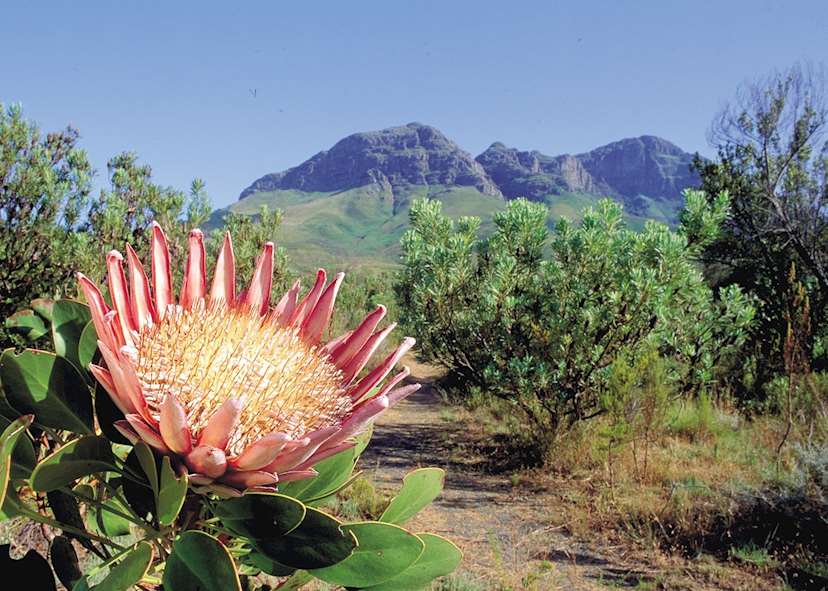 Cape Town, Botswana & Victoria Falls | Audley Travel US