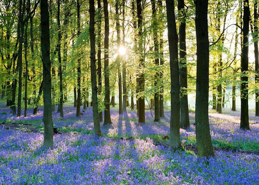 Best Time To Visit Europe | Climate Guide | Audley Travel US