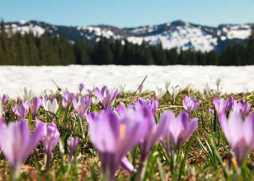Best Time To Visit Germany | Climate Guide | Audley Travel US