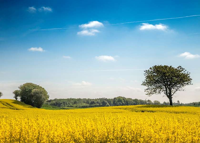 Best Time to Visit Denmark | Best Months for Travel | Audley Travel US