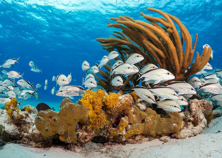 Best Time to Visit The Bahamas | Climate Guide | Audley Travel US