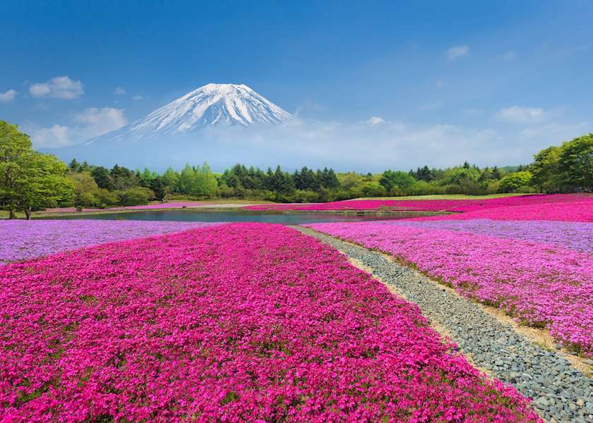 Best Time to Visit Japan | Climate Guide | Audley Travel UK