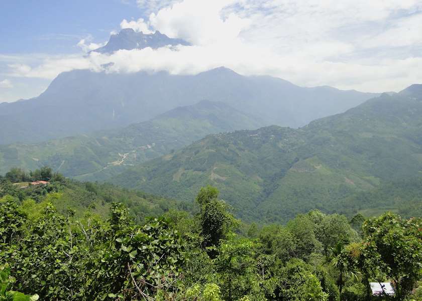 Best Time to Visit Borneo | Best Months for Travel | Audley Travel UK