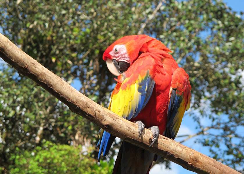 Best Time to Visit Costa Rica | Climate Guide | Audley Travel UK