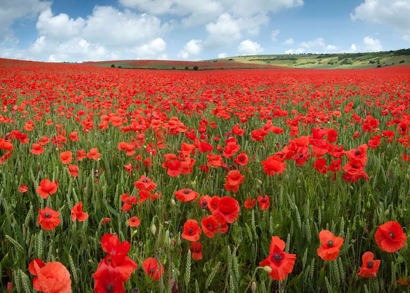 Best Time to Visit United Kingdom| Best Months for Travel | Audley ...